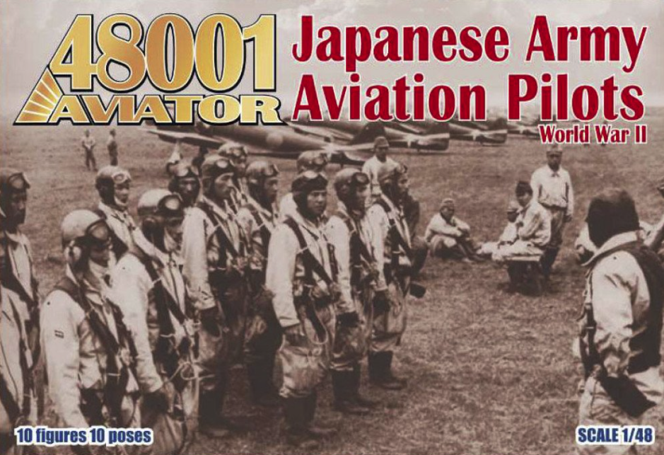 48001 WWII JAPANESE ARMY PILOTS